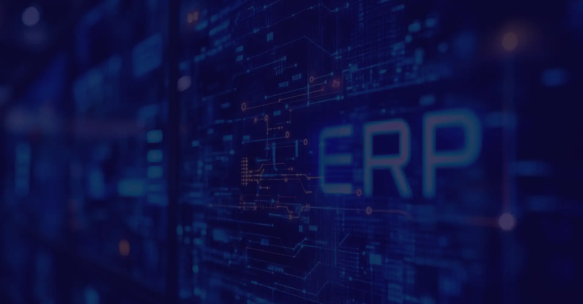 Custom ERP Software Development Service